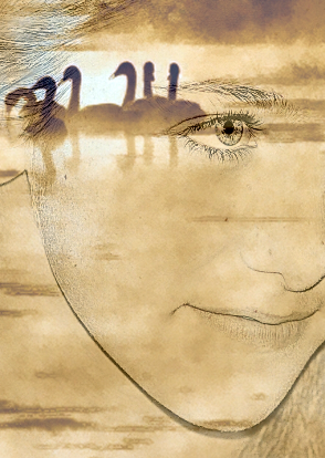 Le fiabe di Magia, I sei Cigni