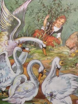 Le fiabe di Magia, I sei Cigni